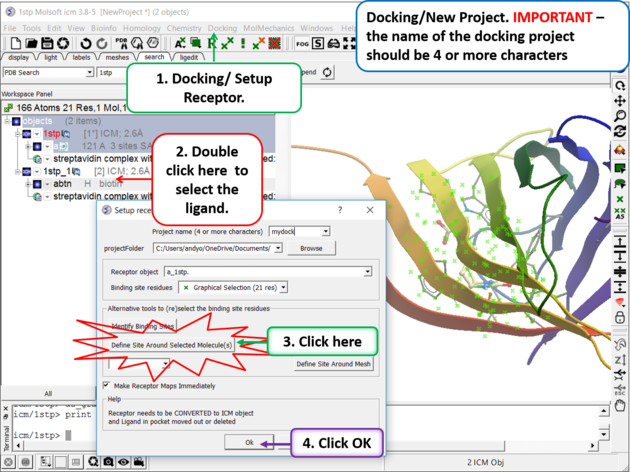 ICM User's Guide: Small Molecule Docking