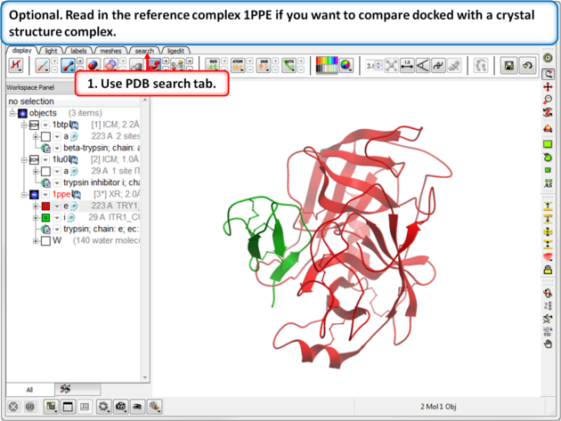 ICM User's Guide: Protein-Protein Docking Tutorial using FFT Method