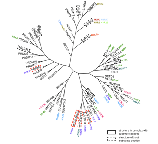 Results and Discussion
